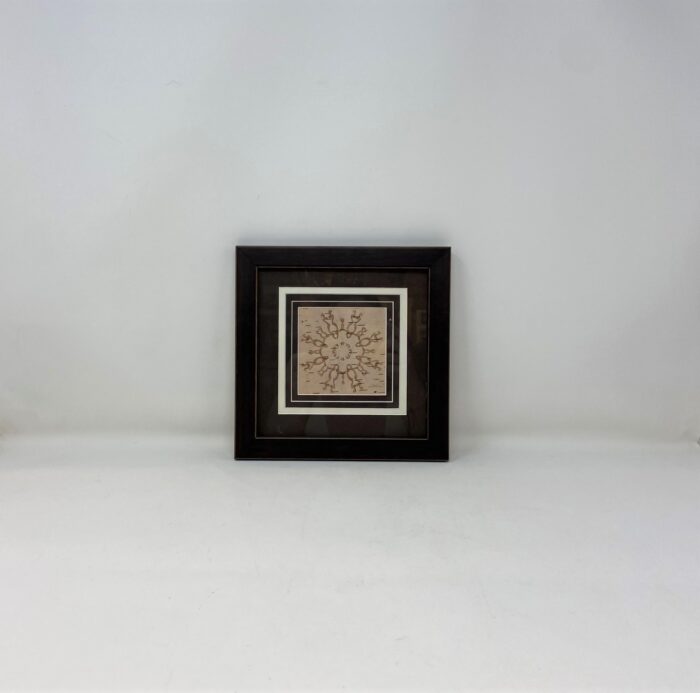 Birch Bark Biting VIII - Black Spruce Gallery